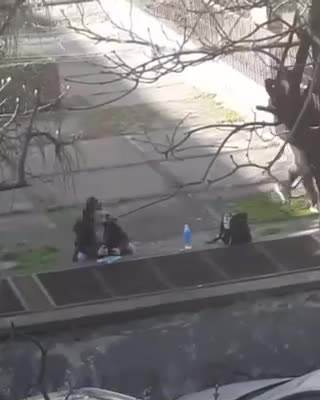 Drogiranje devojčice u beogradskom parku | Adriamedia TV