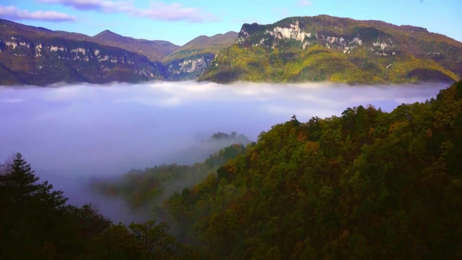 Lepota prirode i biodiverziteta u Kini | Adriamedia TV